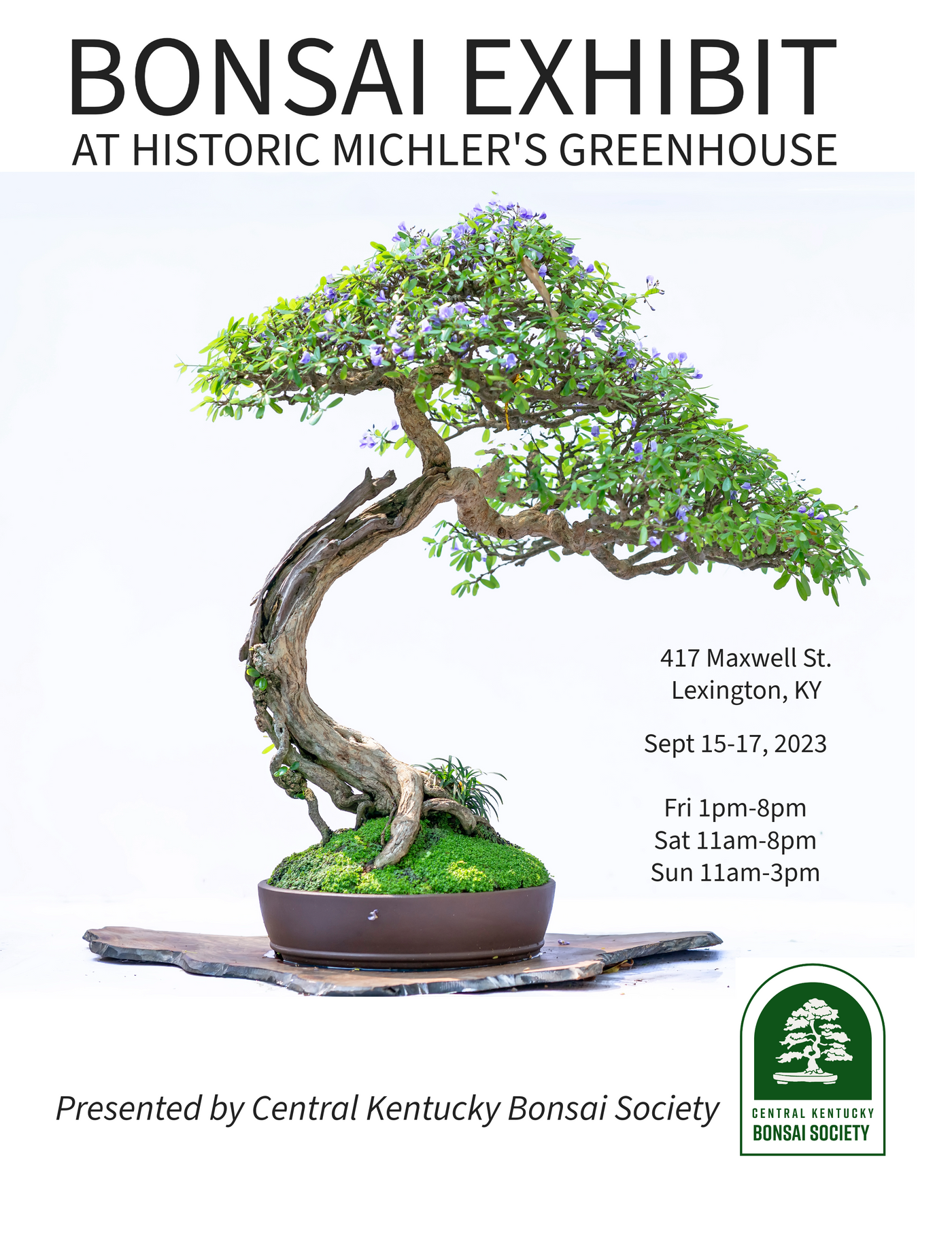 Bonsai Exhibit – Michler's Florist, Greenhouses & Garden Design