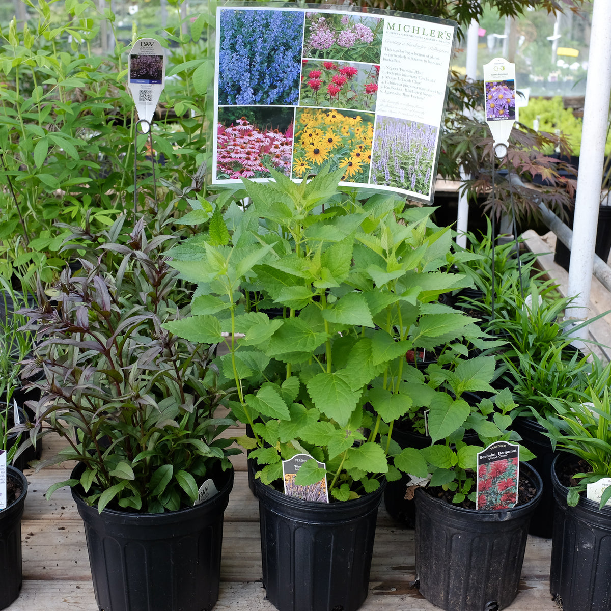 Backyard Conservation Program – Michler's Florist, Greenhouses & Garden Design