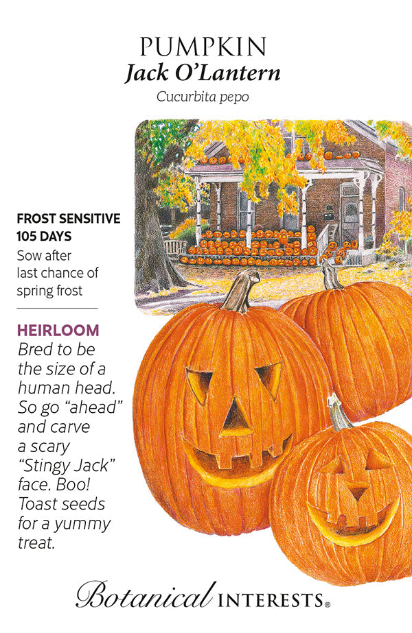 Pumpkin Jack O'Lantern – Michler's Florist, Greenhouses & Garden Design