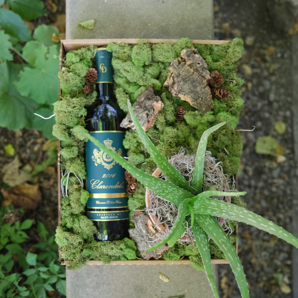 Wine and Aloe Gift Box | Delivered in Lexington, KY | Michler's ...