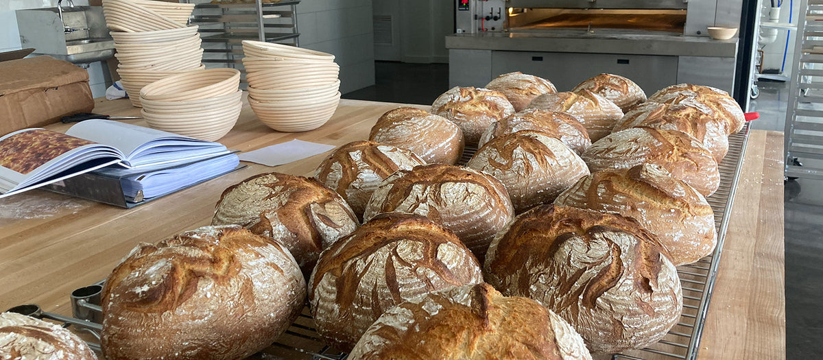 Bread and Roses Bakery – Michler's Florist, Greenhouses & Garden Design