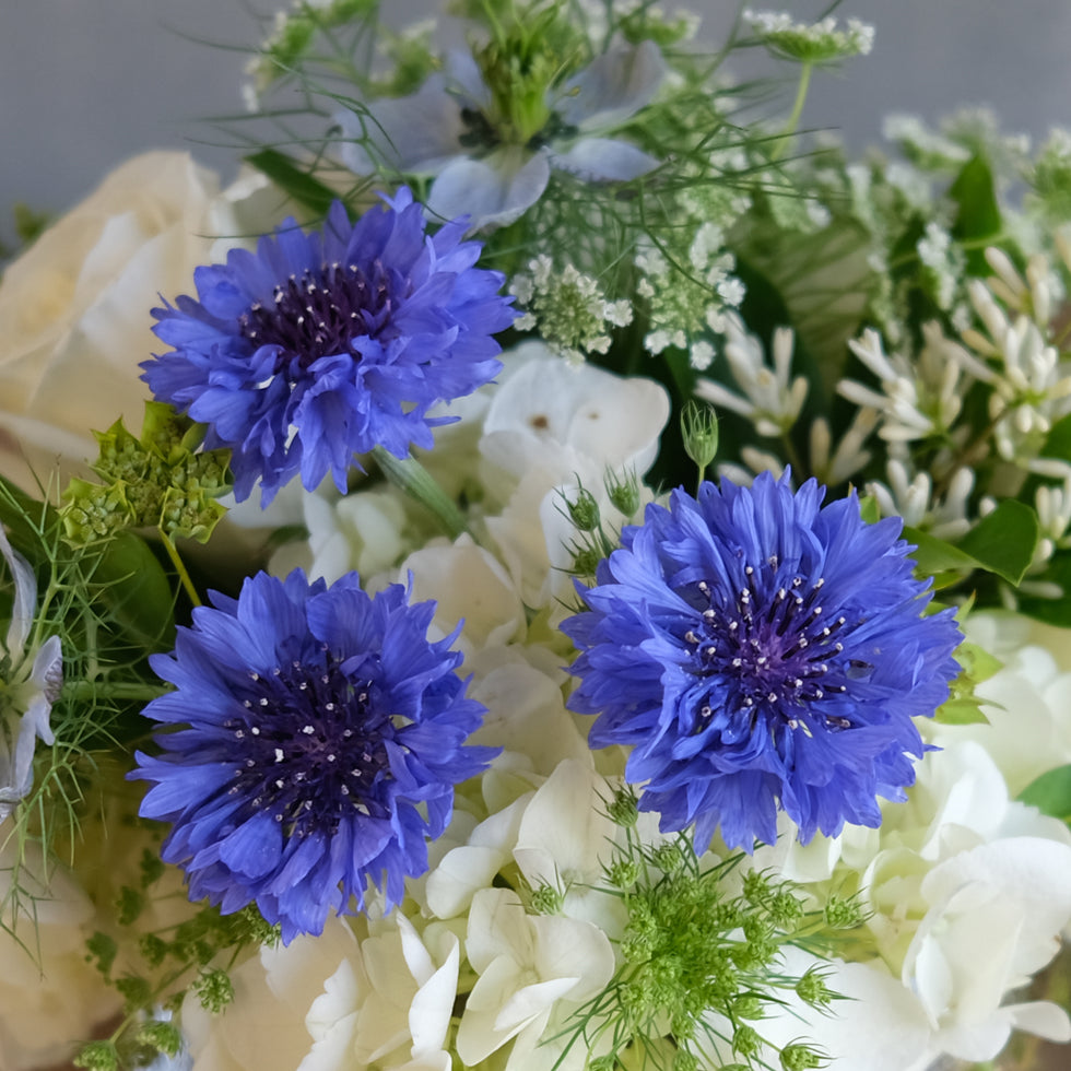 Everyday Flower Arrangements | Lexington, KY | Michler's Florist ...