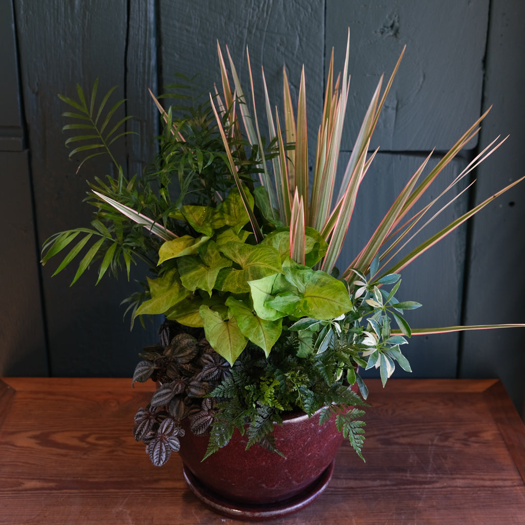 Ellison Foliage Planter | Lexington, KY | Michler's Florist – Michler's ...