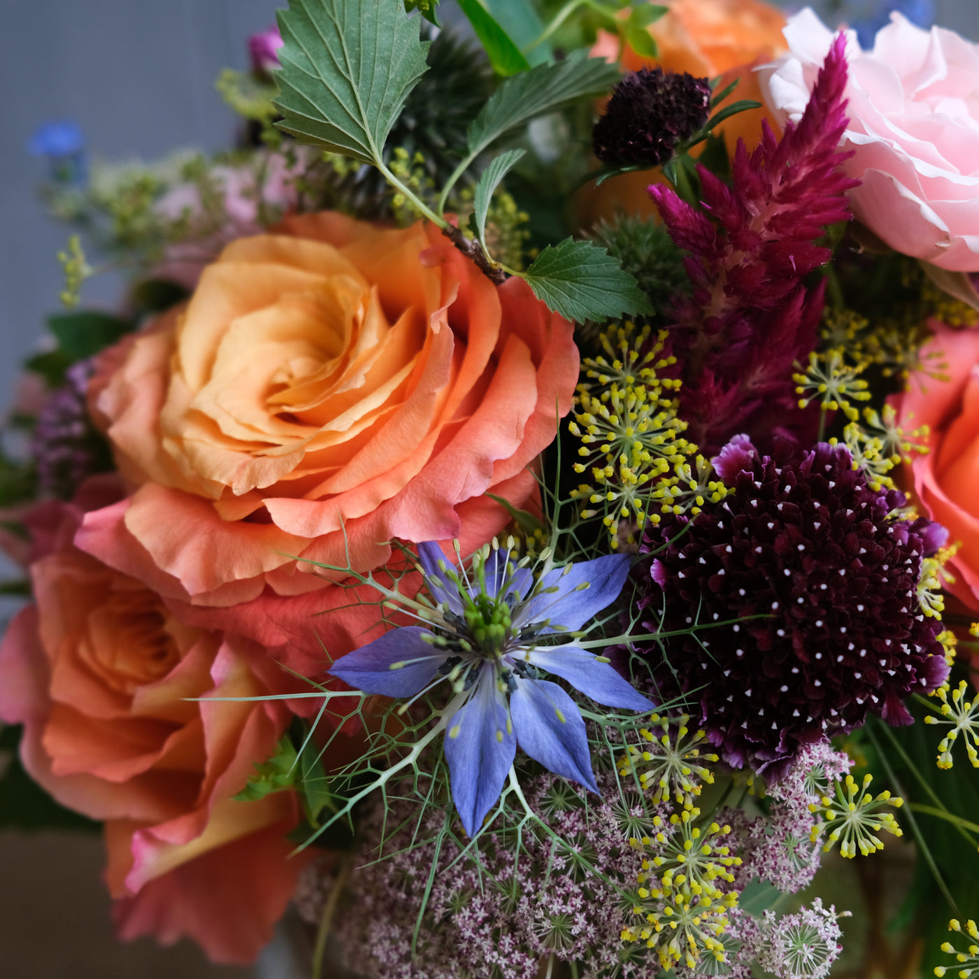Winter Flower Designs | Lexington, KY | Michler's Florist – Michler's ...