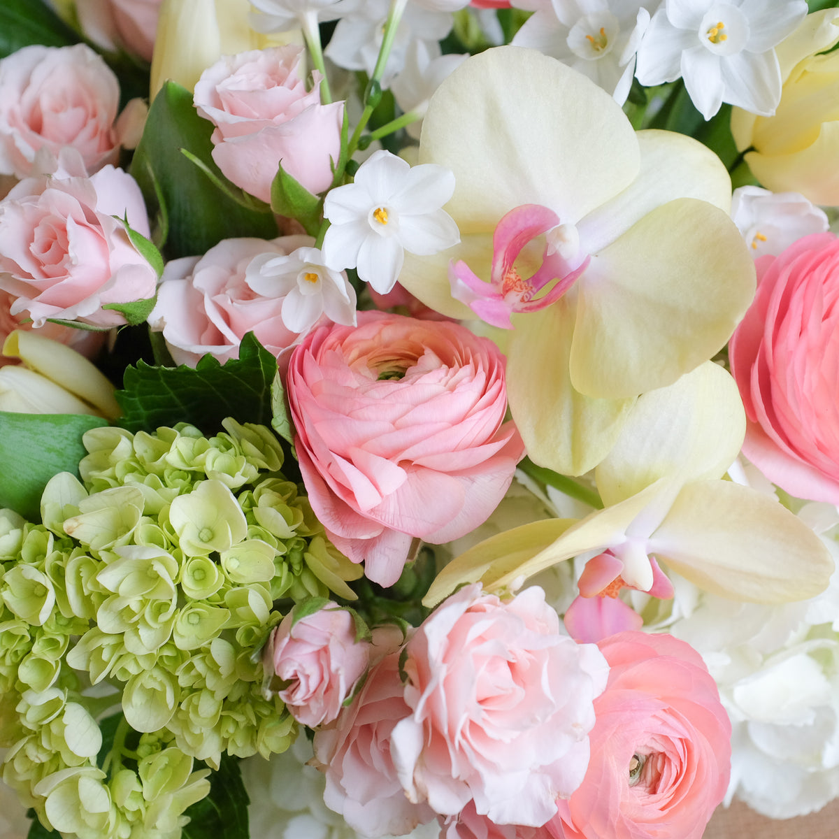 Everyday Flower Arrangements | Lexington, KY | Michler's Florist ...