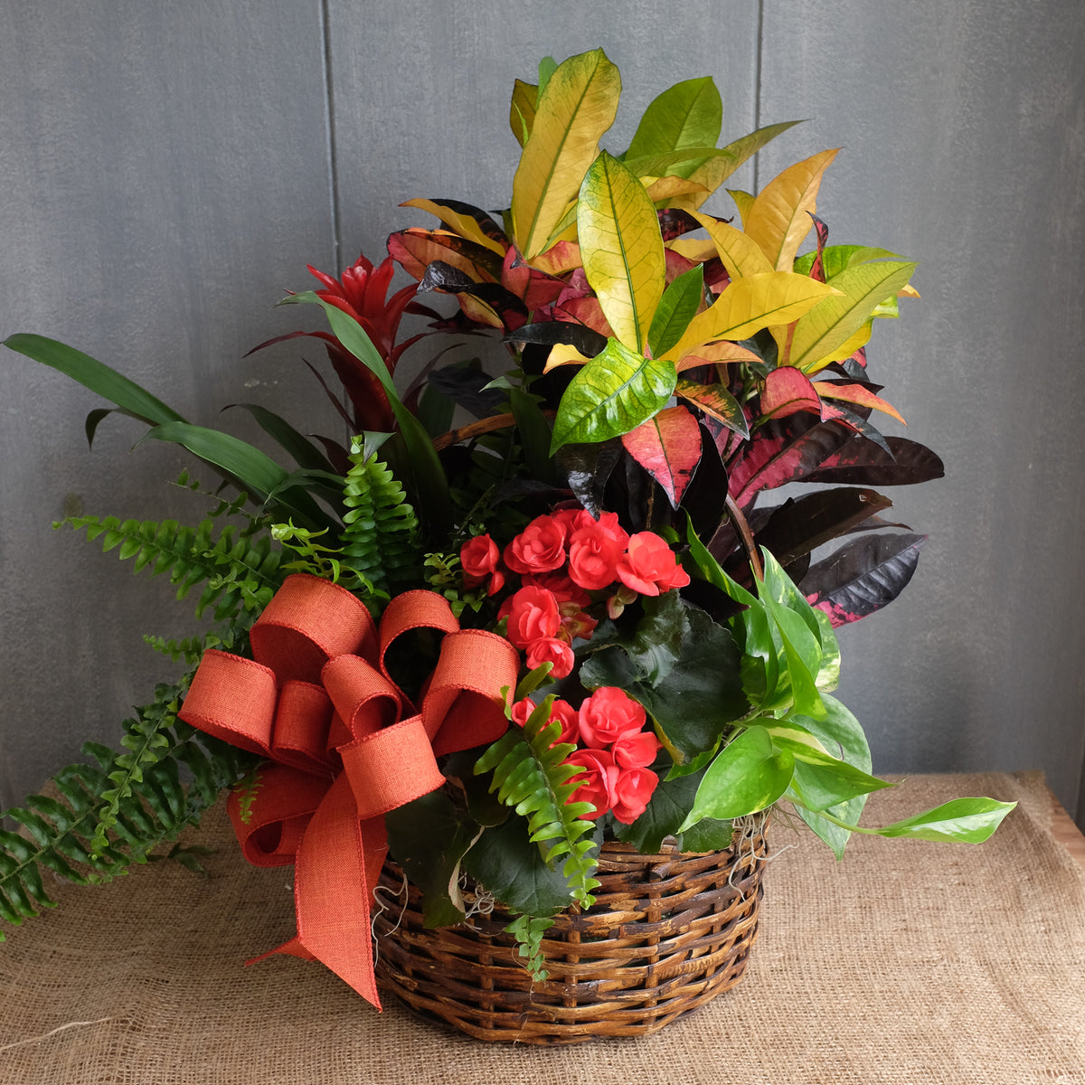 Daytona Basket l Planter with Bright Flowers and Foliage Plants ...
