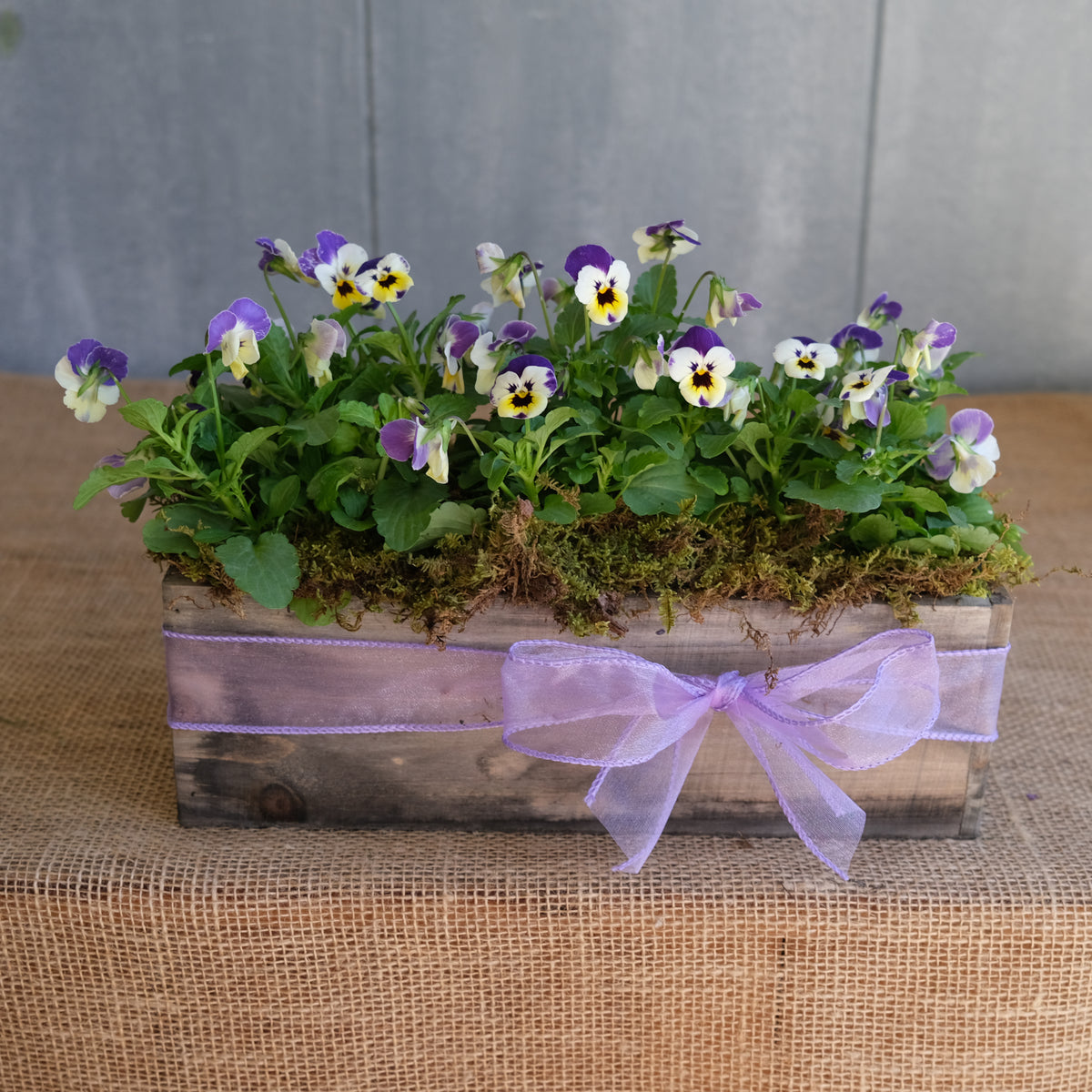 Viola Gift Box | Lexington, KY | Michler's Florist – Michler's Florist ...